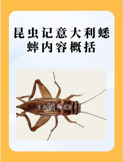 蛐蛐出现在哪个季节截图