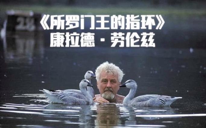 所罗门王的指环简介图标