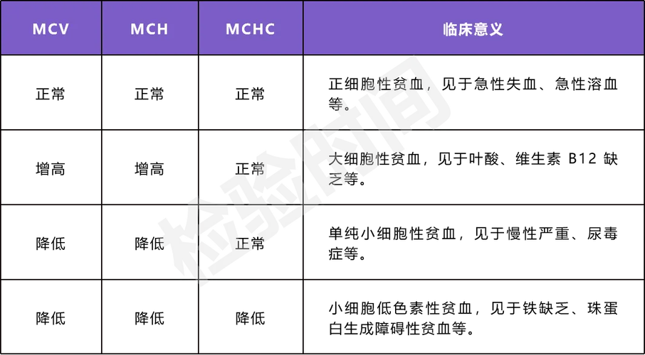 MCH正常值图标