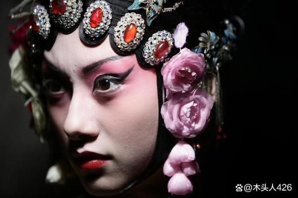 京剧500部全集视频图标