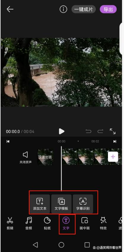 视频前面怎么加一段黑色字幕语音截图