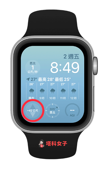 苹果手表看海拔高度在哪里图标