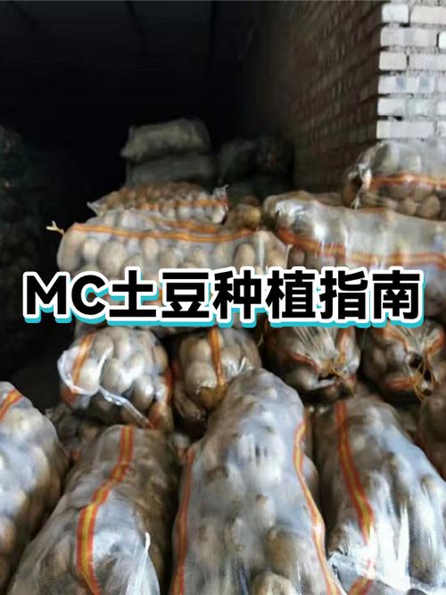 我的世界土豆种子怎么合成图标