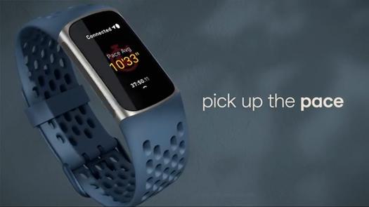 fitbit手环恢复出厂设置图标