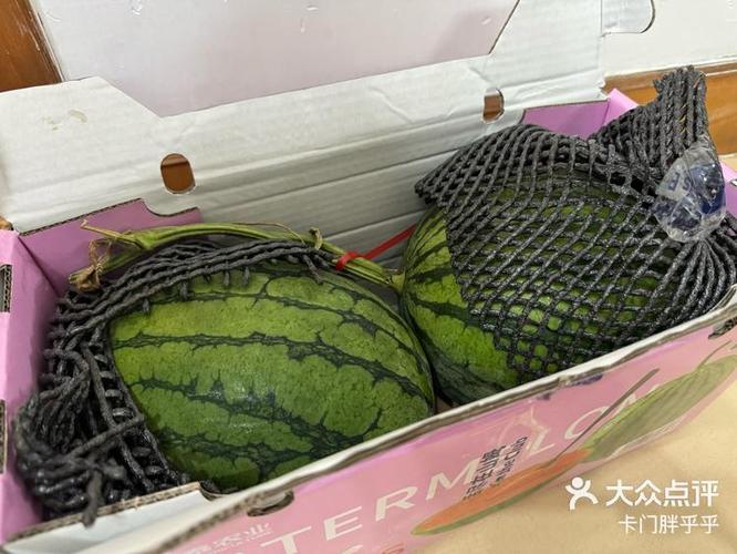 西瓜呀呀呀图标