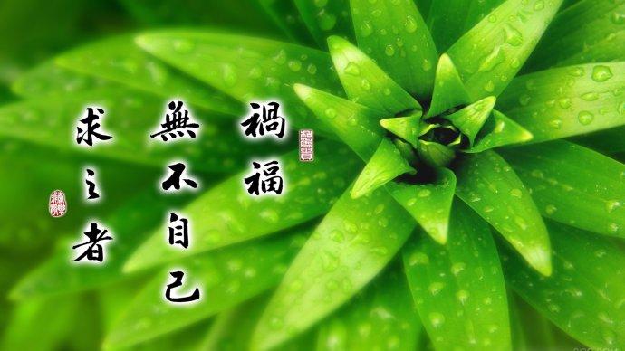我的世界时运的指令图标