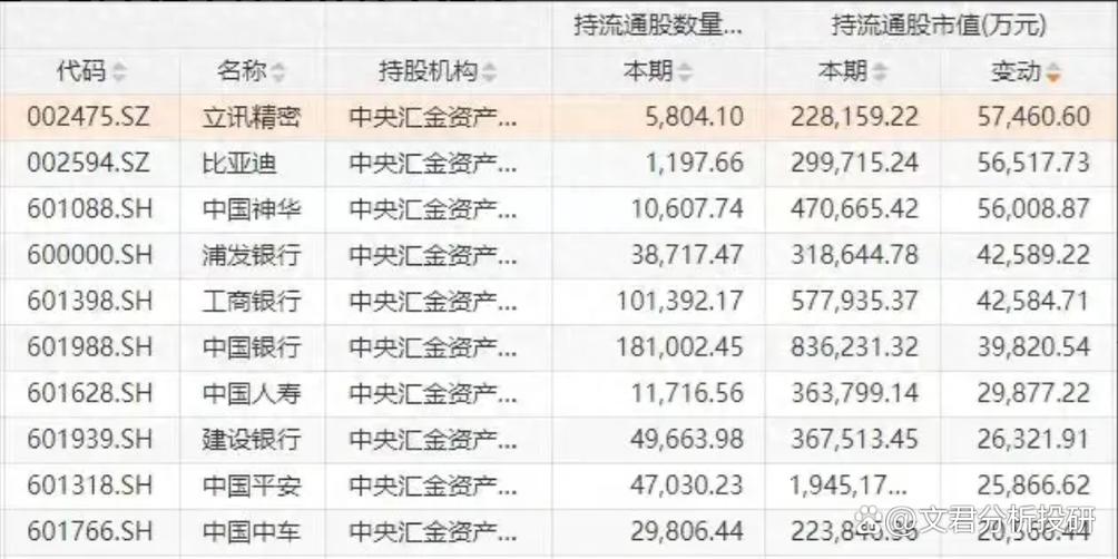 中央汇金股票图标