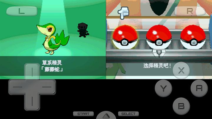 口袋妖怪白2精灵金手指截图