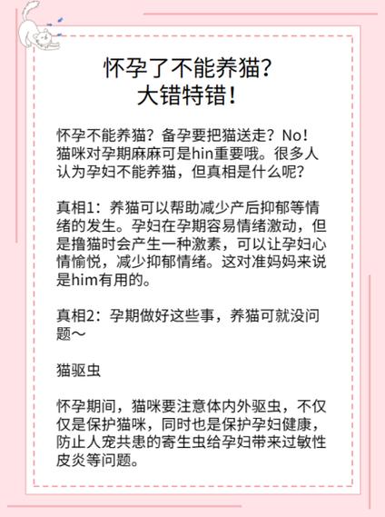 怀孕期间可以养猫吗图标