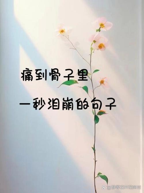感情语录心痛的句子图标