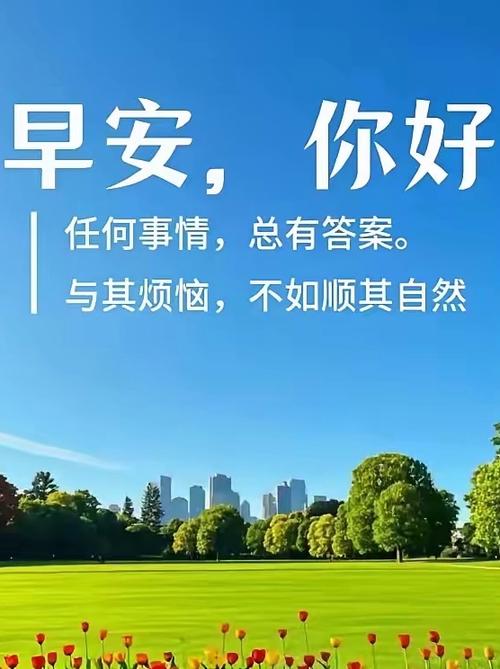 day by day tara图标
