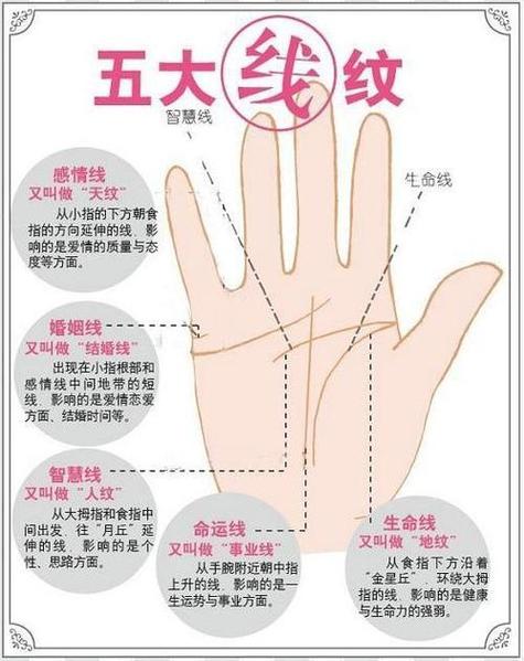 女人的手相图解图标