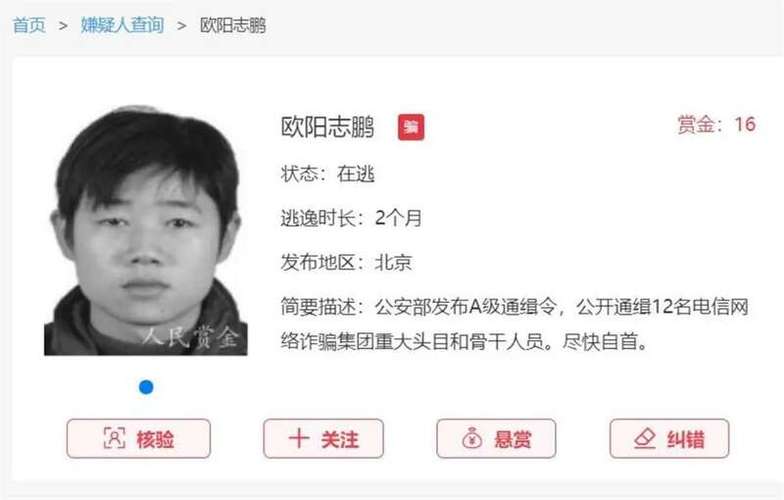 多多悬赏2022图标
