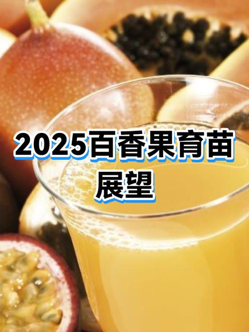 百香果价格表2025图标