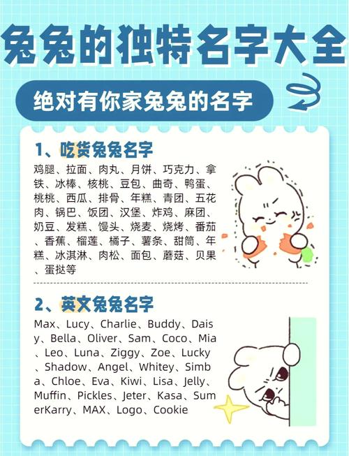 兔聊新版叫什么图标