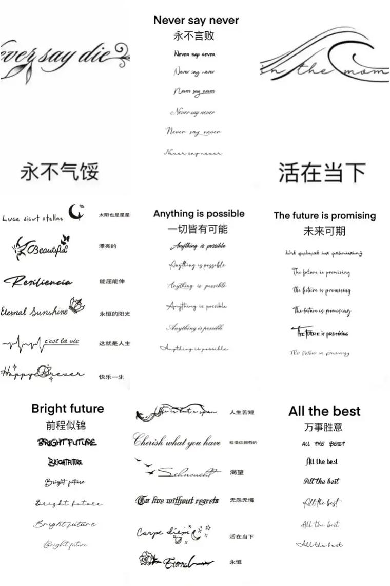 tatol翻译截图