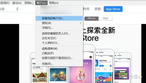 ios乐网旧版截图