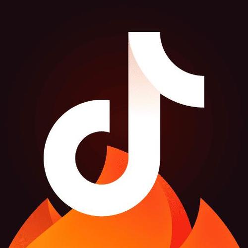 火山小视频旧版本大全ios图标