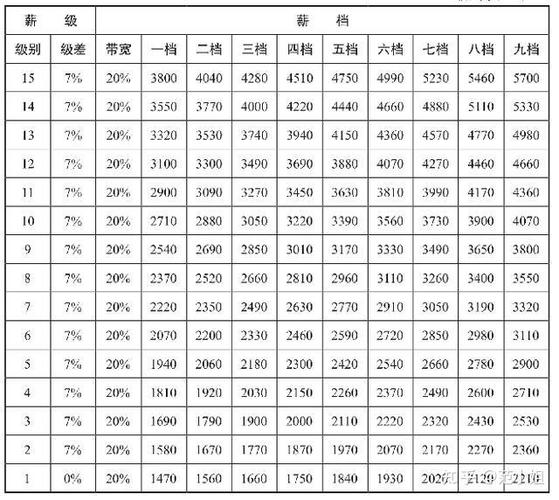 双胞胎员工级别一览表图标