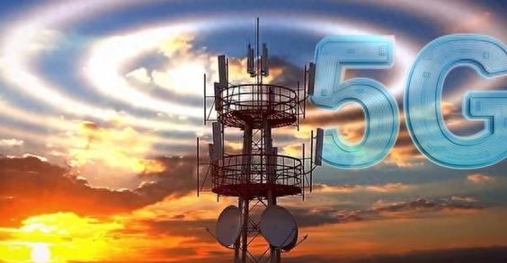 5G午夜无病毒截图