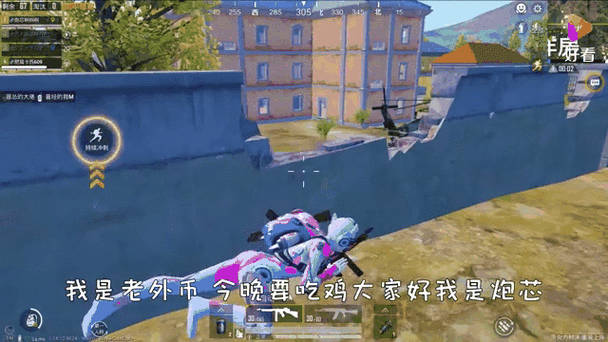 奔奔和炮芯吃鸡截图