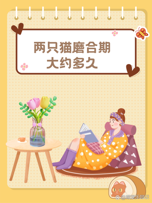 求一个猫咪的账号密码图标