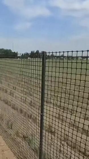养鸡用什么围栏网最好图标