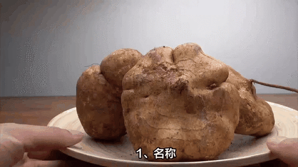 地瓜一对一视频