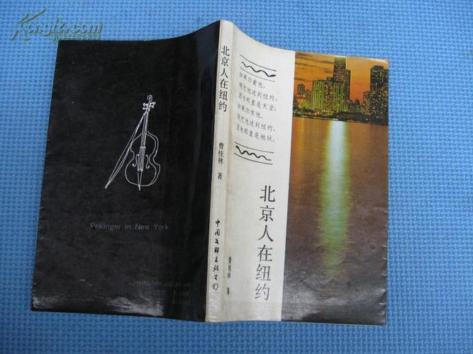 北京人在纽约小说