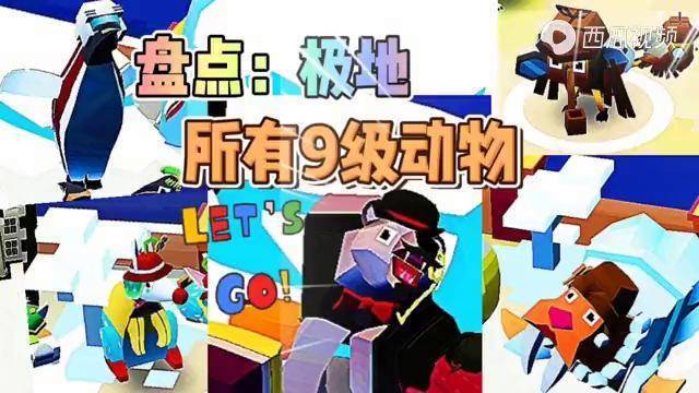 疯狂动物园九级动物截图