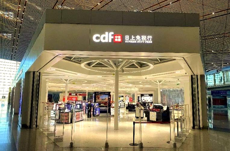 中国日上免税店图标