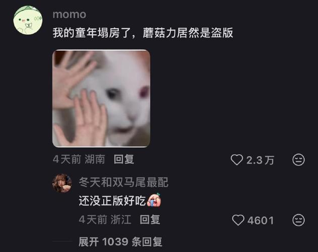 蘑菇力盗版的截图