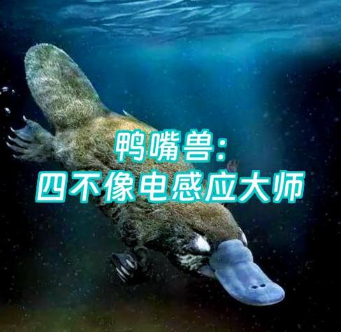 苹果手机低电量模式对电池好吗图标