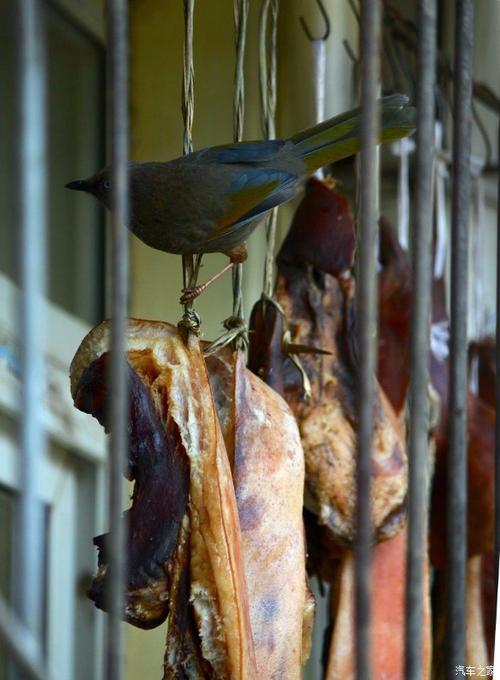 腊肉被鸟吃了有毒吗