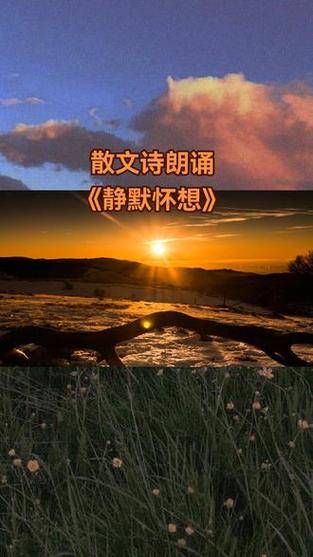 部分关闭文本朗读图标