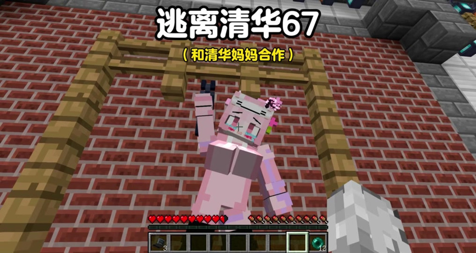 我的世界北大妈妈图标