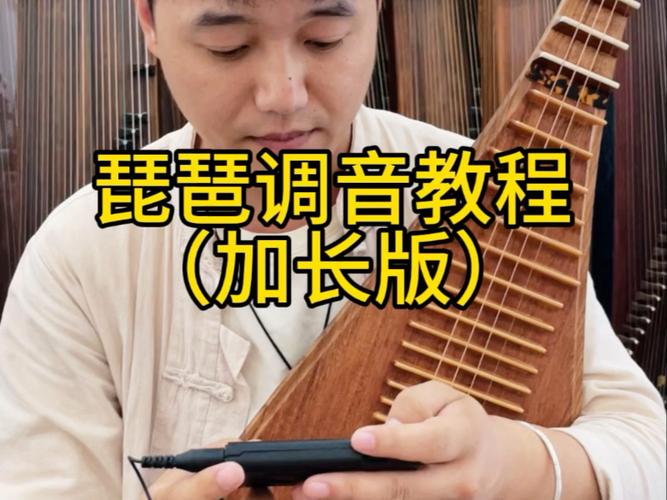 琵琶调音器怎么调音视频图标