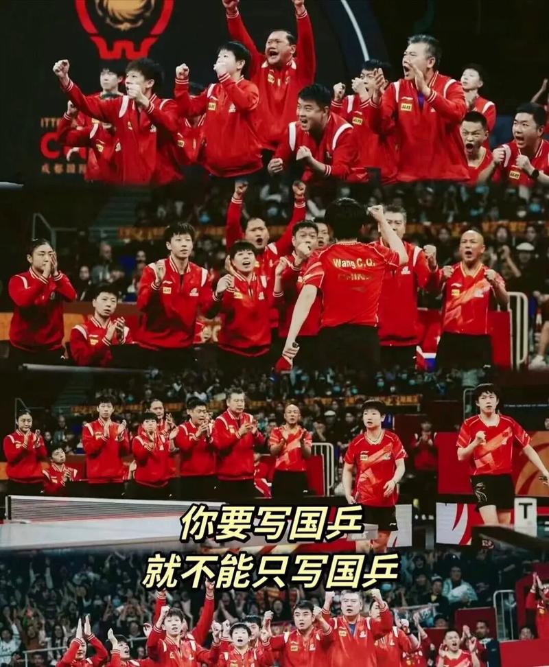 乒乓帝国截图