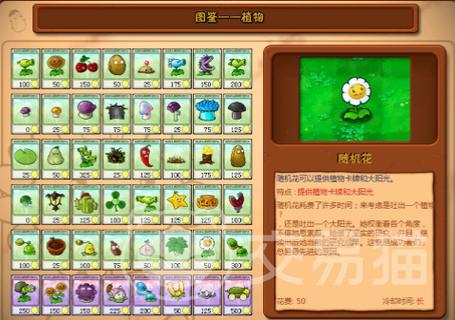 黑暗阳光第四季财神金盏花截图
