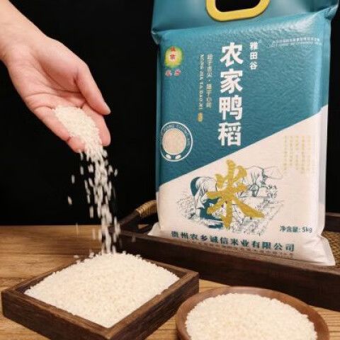鸭稻米和普通米的区别游戏截图