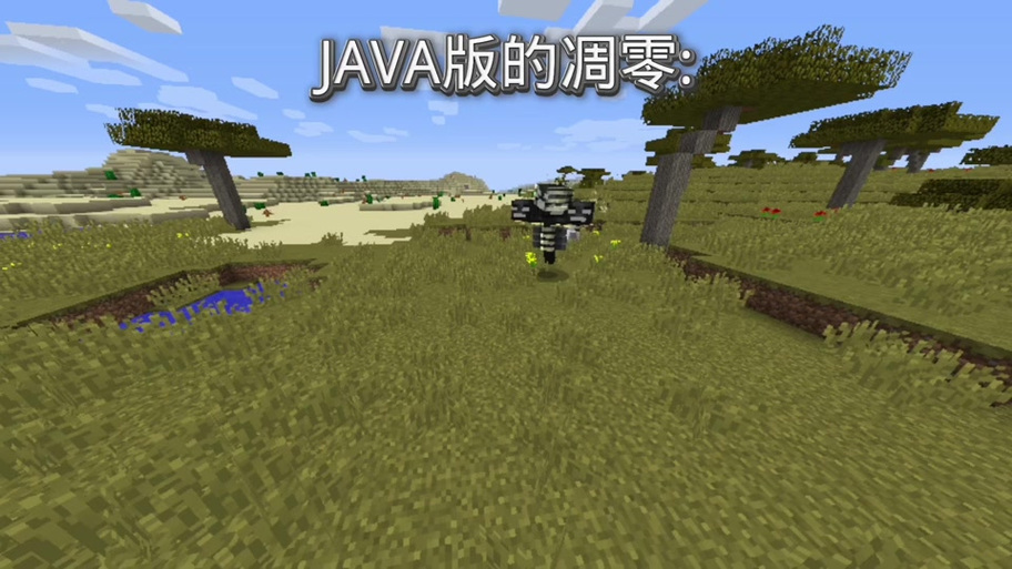 电脑玩基岩还是java图标