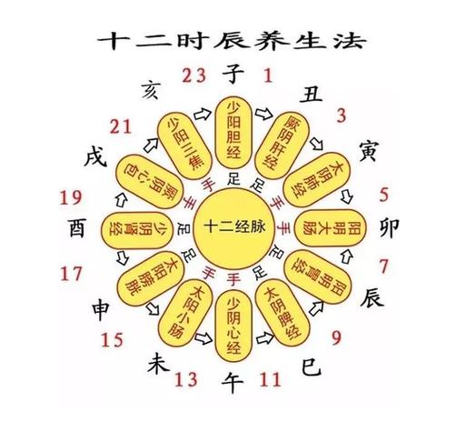 一天是指多少小时图标