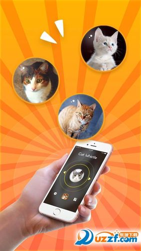 人猫交流软件下载图标