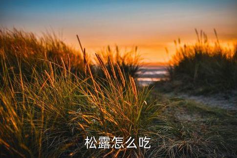 如何用虫网捕捉松露虫截图