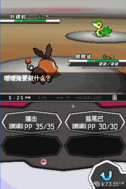 口袋妖怪白1攻略