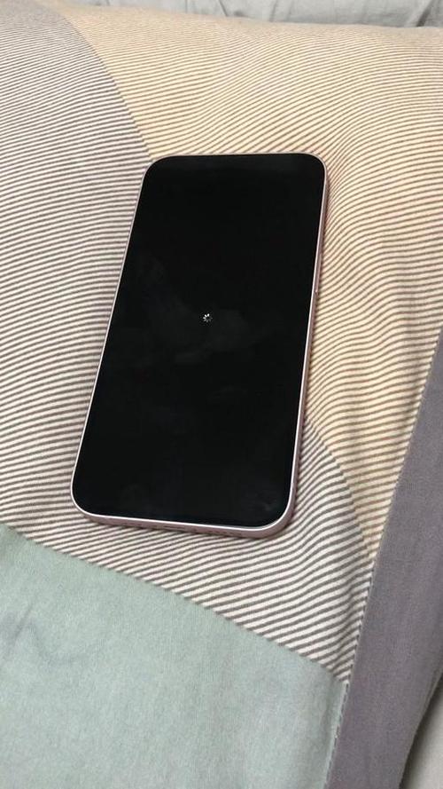 苹果手机打开摄像头黑屏截图