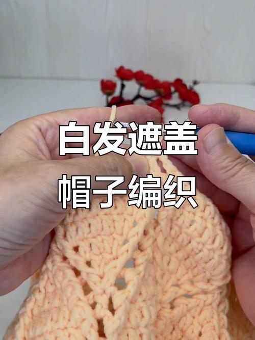 白发帽子钩针教程图标
