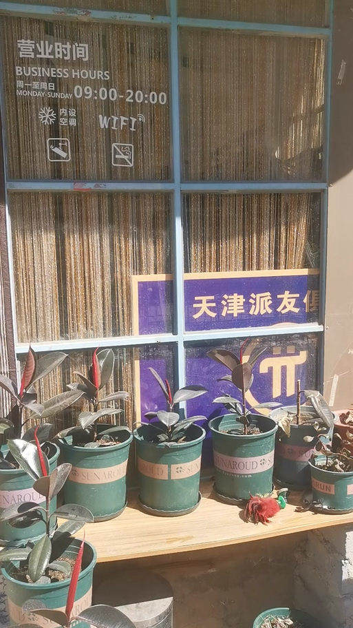 派友俱乐部是合法的吗截图