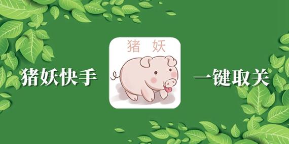 妖猪快手一键取关图标