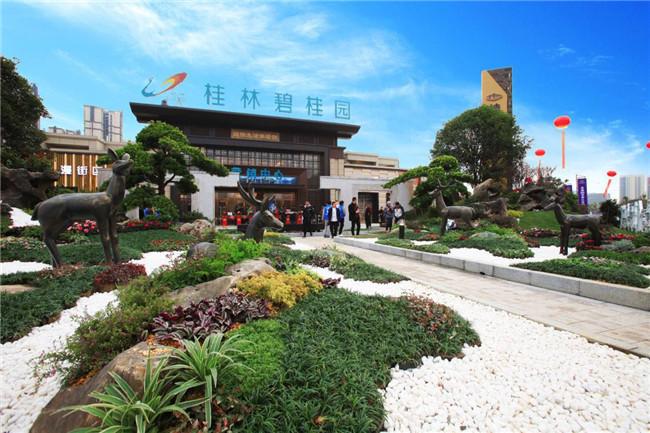 碧桂园实际控制人图标